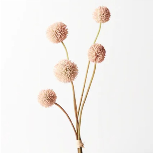 Billy Button Pink | Vases and Vessels