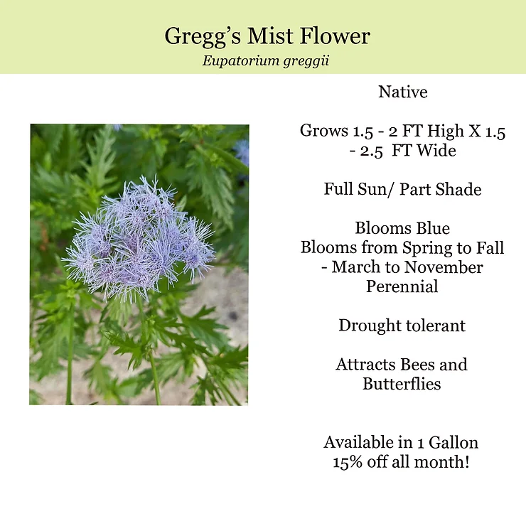 Plant Nursery | South Texas Growers | Retail & Wholesale