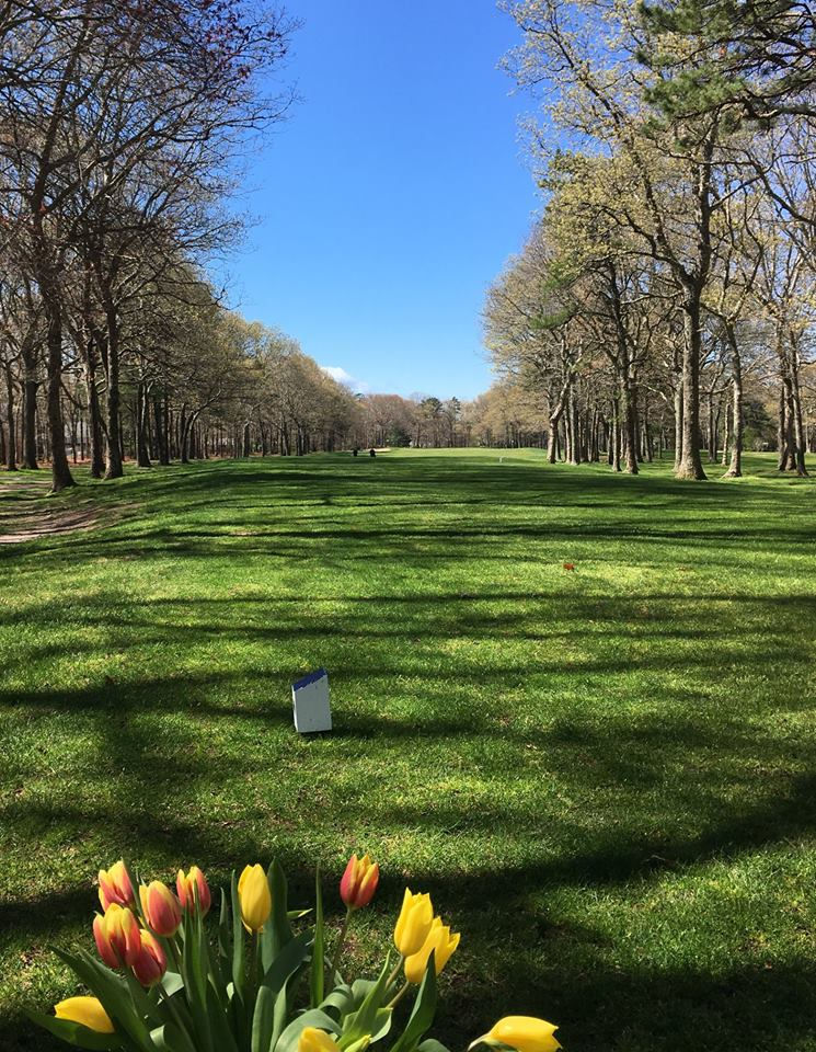 Gallery | Executive Par 60 Course | Paul Harney Golf