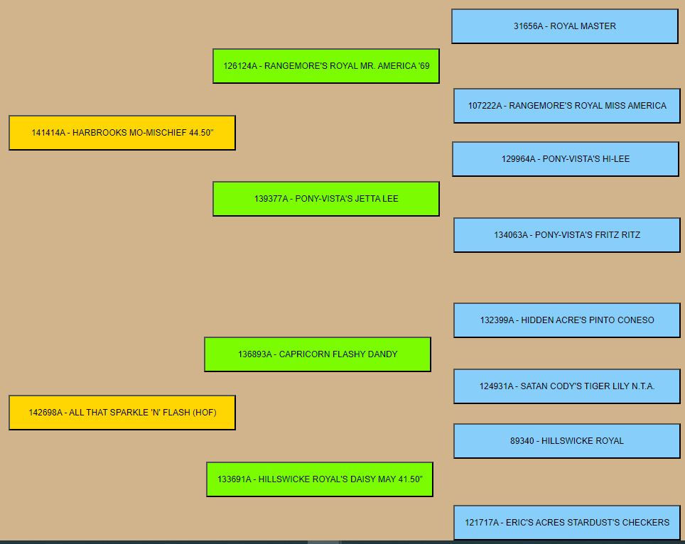 2024 Nominated Stallions | aspcclassicss