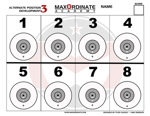 Alternate Position Development Training Target | Max Ordinate Academy