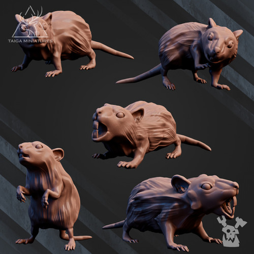 STL: Crypt's Rats | DakkaDakka.Store