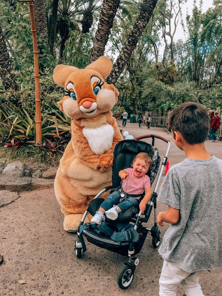 DISNEY TIPS FOR KIDS AND ADULTS