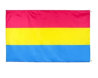 Pansexual Flag | Goldfields Pride