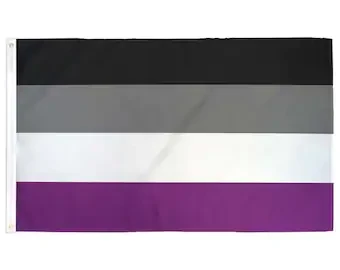 Asexual Flag | Goldfields Pride