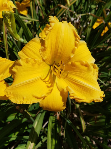 Jen Melon (Oakes, 1987) | My Site