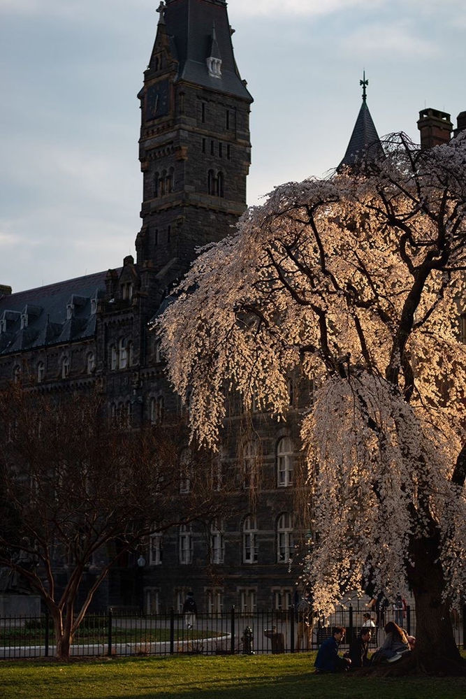 Healy Hall