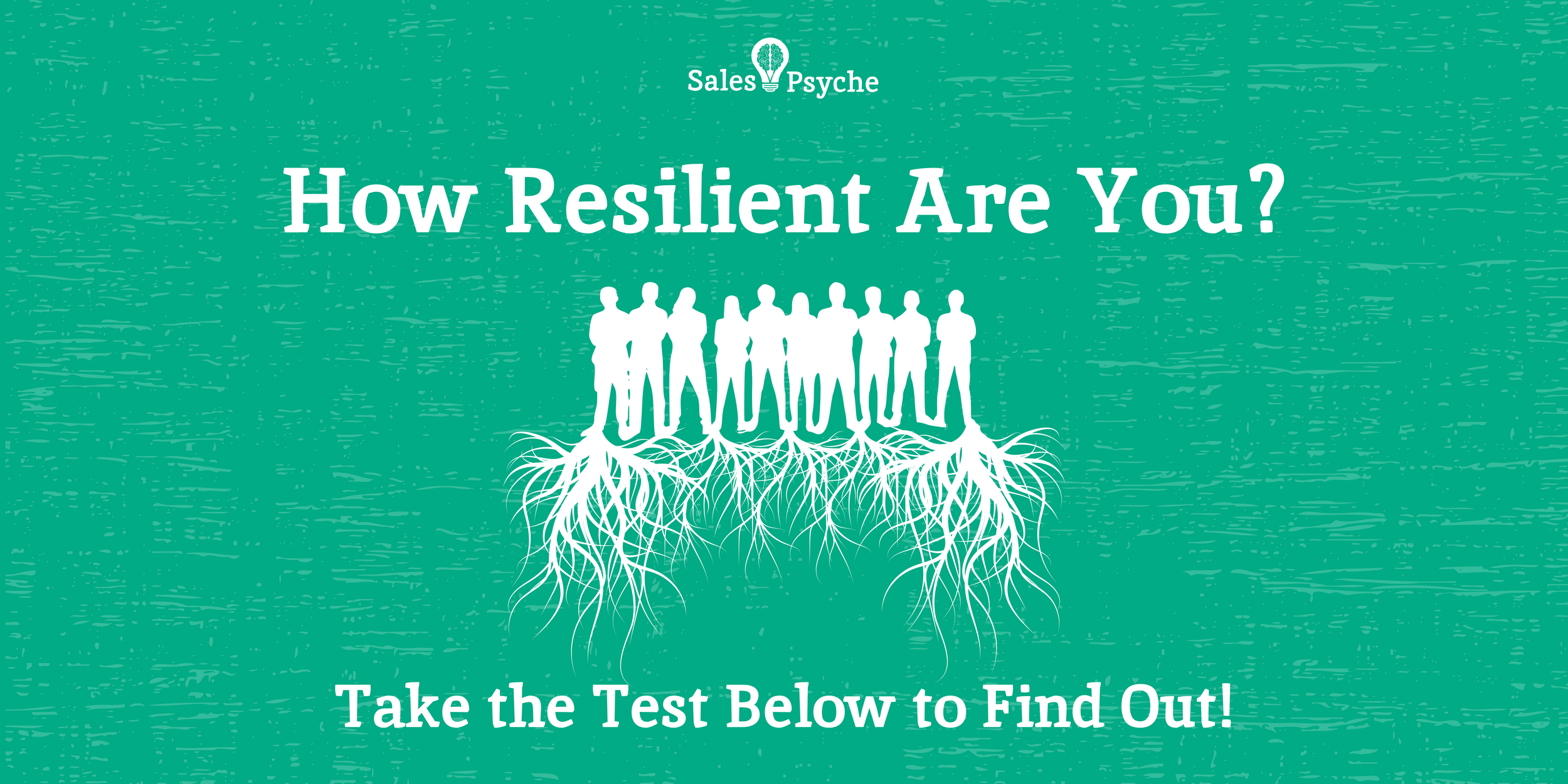 Resilience Test | Sales Psyche