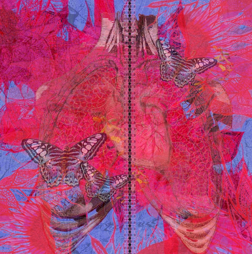 Daniella PATEMAN | Harding Gallery