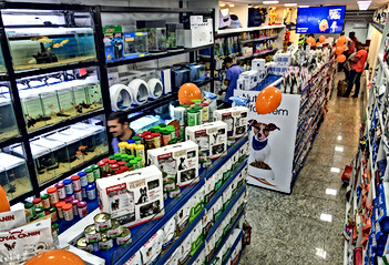 UNIDADES | Pet Fun