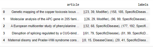 Building a Custom Named Entity Recognition (NER) Model with SpaCy and ...