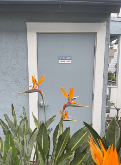 Comprehensive Signage Solutions for Apartment Complexes and Condos in ...