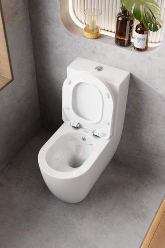 Free BTW Pan & Cistern Combined Bidet with Integrated Bidet Tap (Hot ...