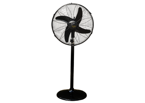 PB 18" Special Standard | Wahid Fans