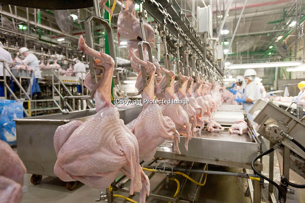 WHAT TO LOOK FOR WHEN RETROFITTING YOUR SLAUGHTERHOUSE FACILITY