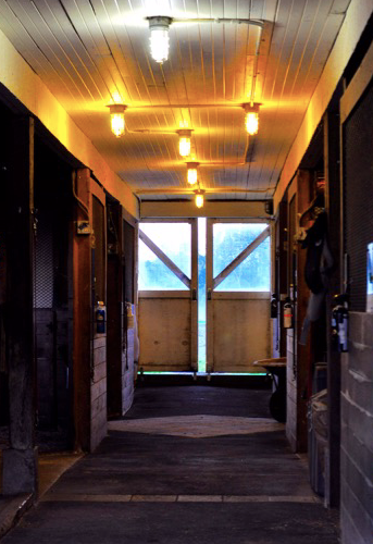 Brighten up your barn with Commercial Grade LED Lighting