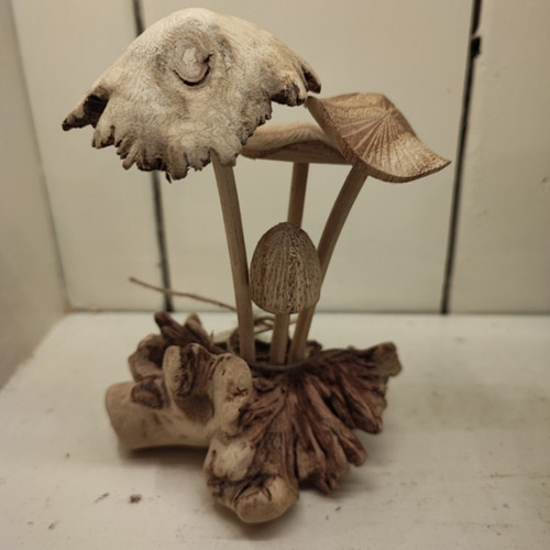 4 Mushrooms Parasite Cap And Base | Handmade In Huds