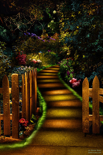 The Gate is Open | Xavier Nuez Images