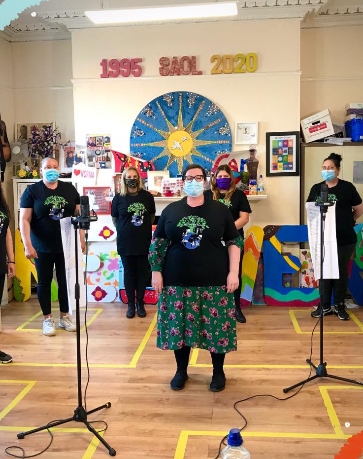 About | The SAOL Project