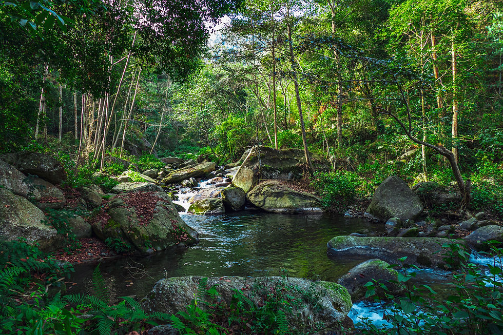 Exploring the Role of Indigenous Knowledge in Wildlife and Biodiversity ...