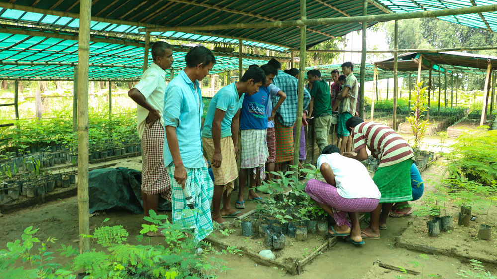 Conservation Livelihood: A Concept of Integrating Nature Conservation ...