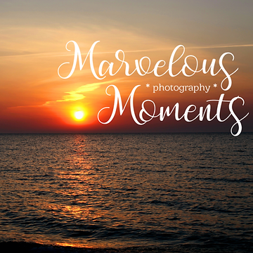 Home | Marvelous Moments Photography
