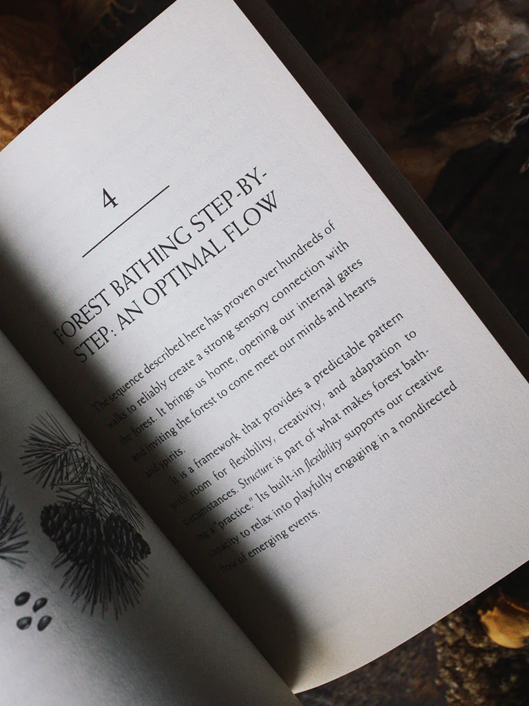 Your Guide to Forest Bathing - Paperback | Ostara Acres