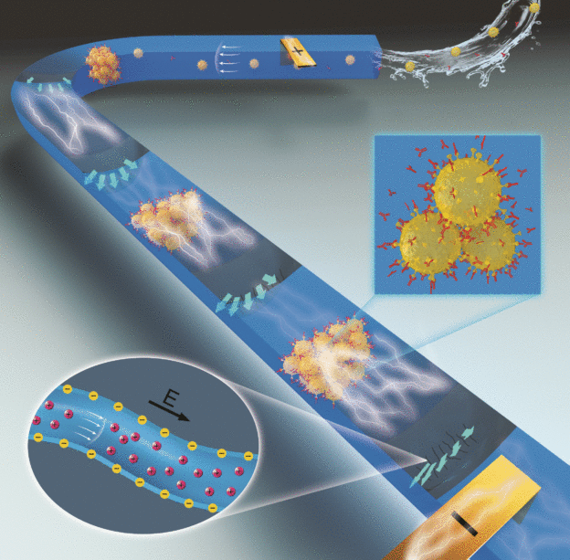 Home | micronanofluidics