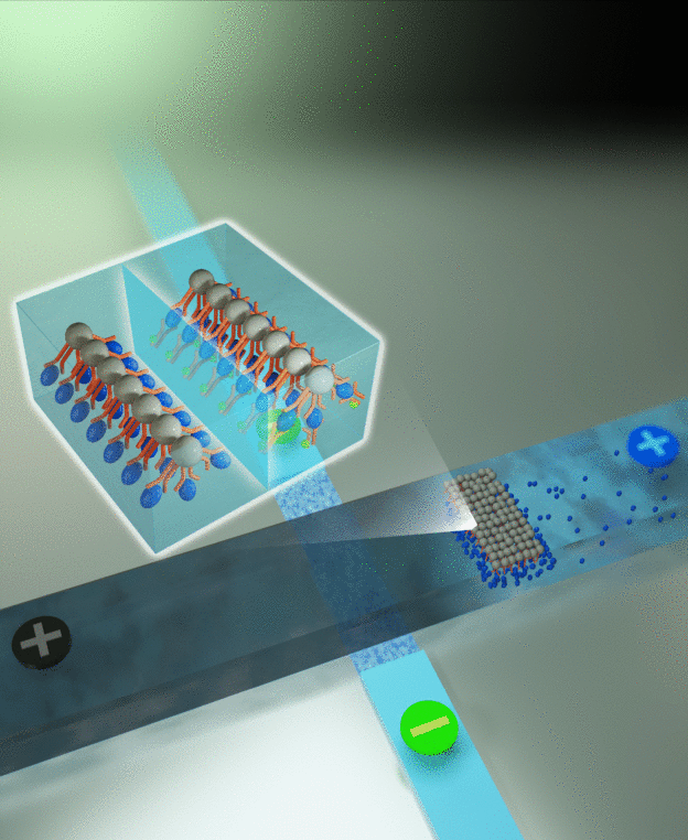 Home | micronanofluidics