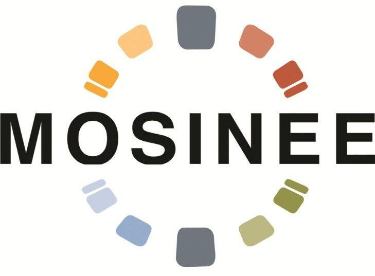 CITY OF MOSINEE | CITY OF MOSINEE