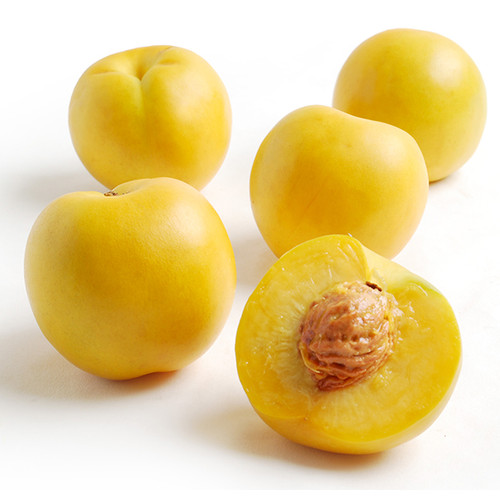 Nectarines (Mango) | MelissasFoodService