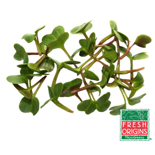 Microgreens (Radish, Daikon) | MelissasFoodService