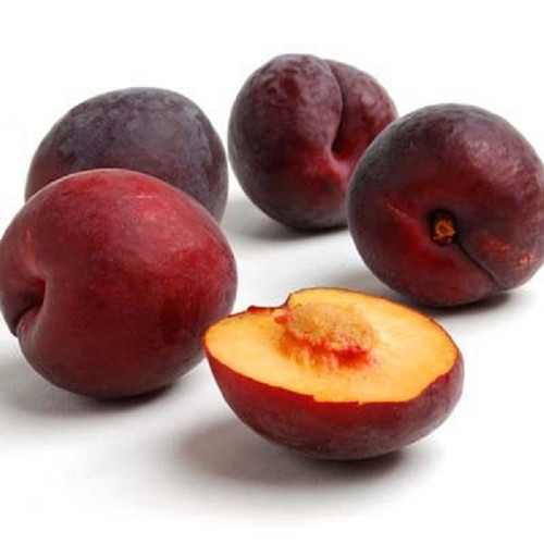 Apricots (Blue Velvet™) | MelissasFoodService