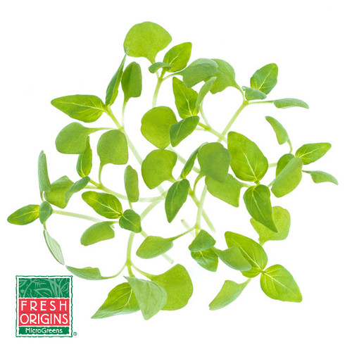 Microgreens (Basil, Lemon) | MelissasFoodService