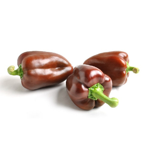Peppers (Bell, Chocolate Holland) | MelissasFoodService