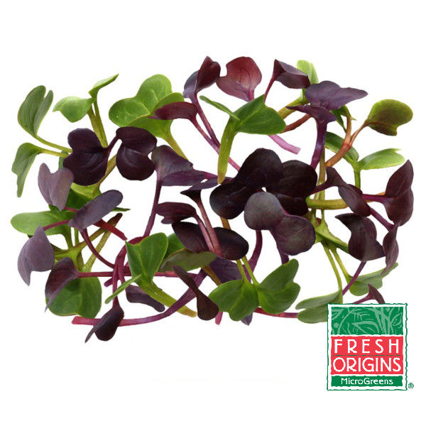 Microgreens (Radish Mix™) | MelissasFoodService