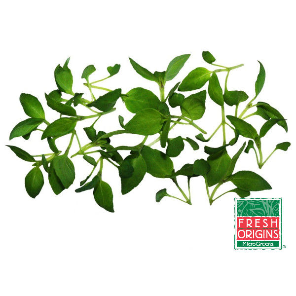 Microgreens, Tiny Veggies tm & Flowers | Melissa's Produce Food Service 2/6