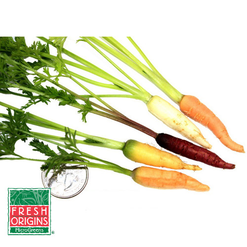 Tiny Veggies™ (Carrot Mix) | MelissasFoodService