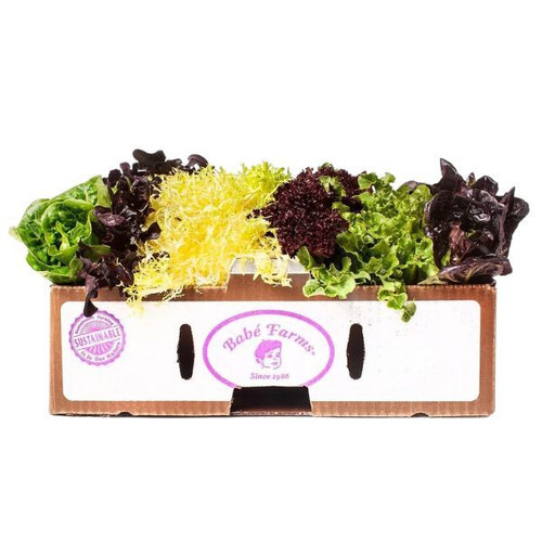Lettuce (Baby Lettuce Bouquet™) | MelissasFoodService