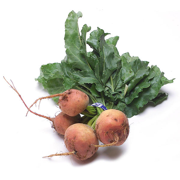 ALL Produce | Melissa's Produce Food Service