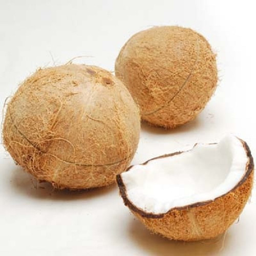 Coconuts (Quick Crack) | MelissasFoodService