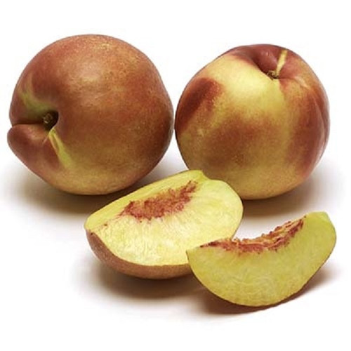 Nectarines (Honey Royale) | MelissasFoodService