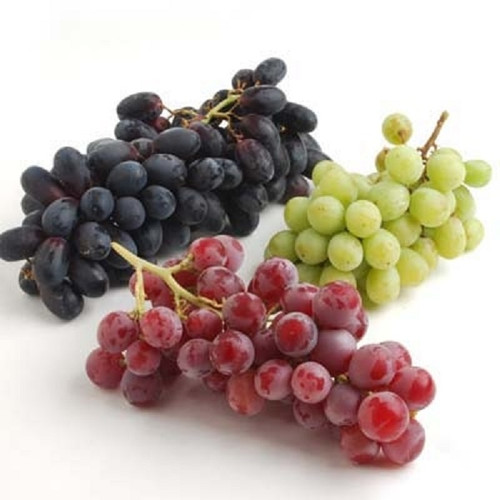 Grapes (Muscato™, Tri-Colored) | MelissasFoodService