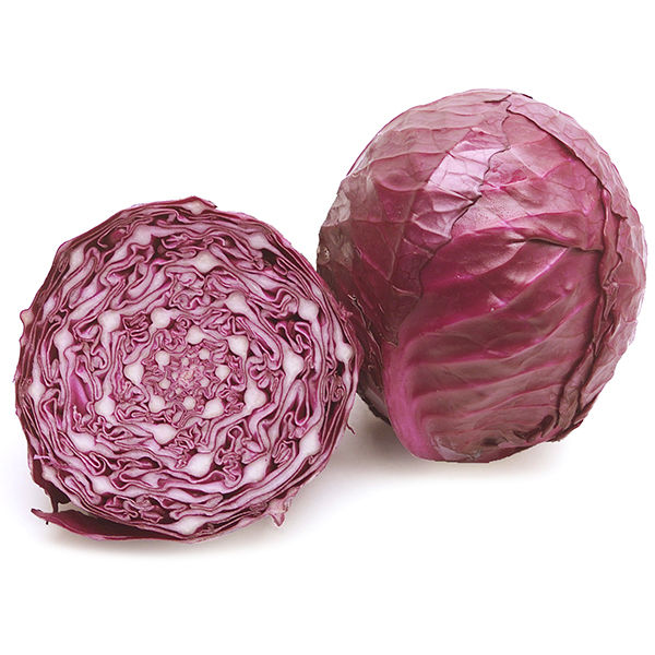 Cabbage (Red) | MelissasFoodService