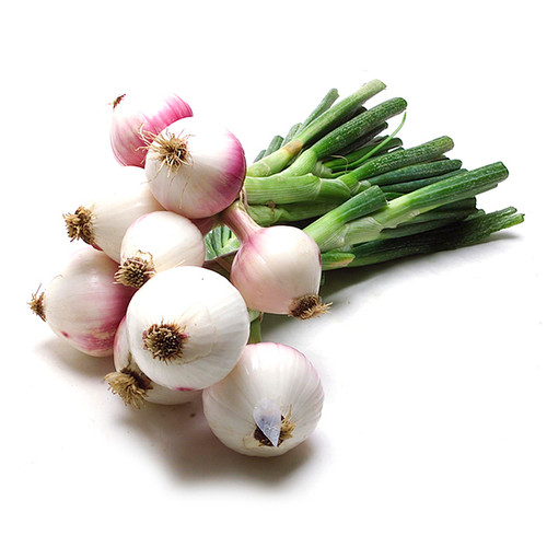 Onions (Spring, Red) | MelissasFoodService