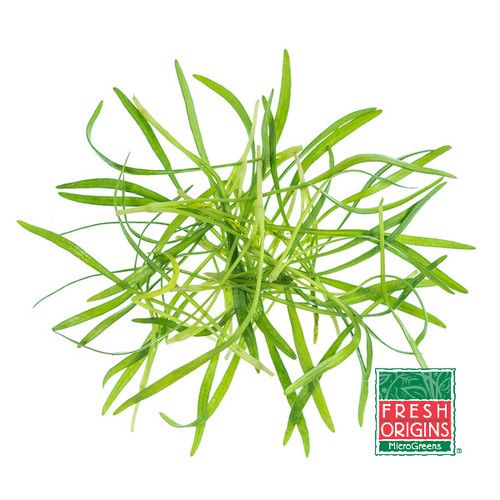 Microgreens (Fennel) | MelissasFoodService