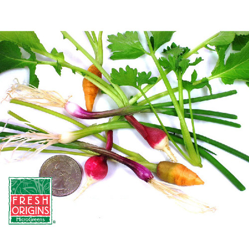 Tiny Veggies™ (Crudité Mix™) | MelissasFoodService