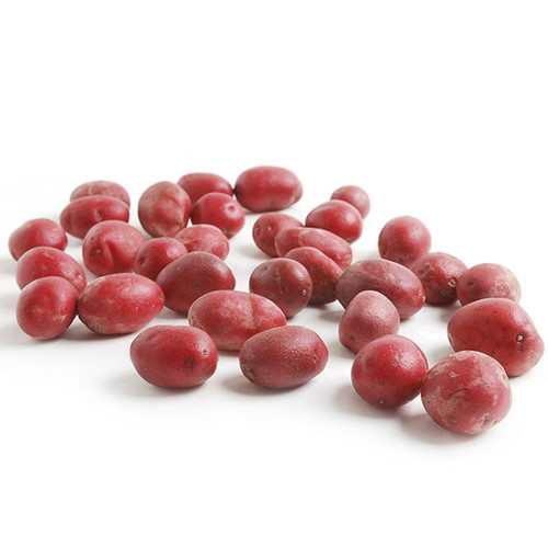 Potatoes (Creamer, Red) | MelissasFoodService