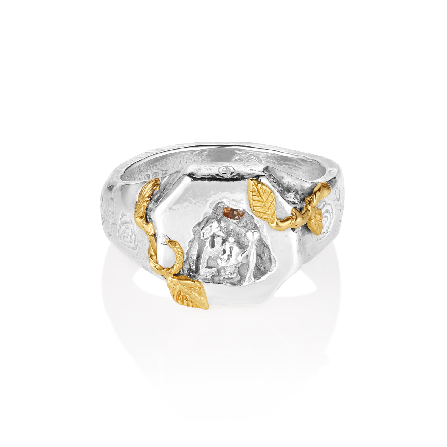 Into the Cave Ring
