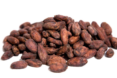 Criollo Cacao Bean | GO - GRUPO OSMIO